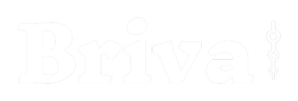 BRIVA | Conseil et formation dans la résilience des entreprises