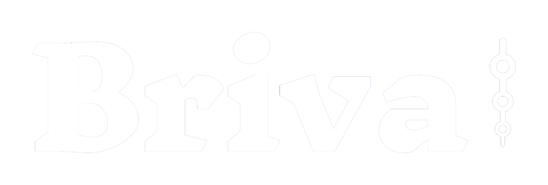 BRIVA | Conseil et formation dans la résilience des entreprises